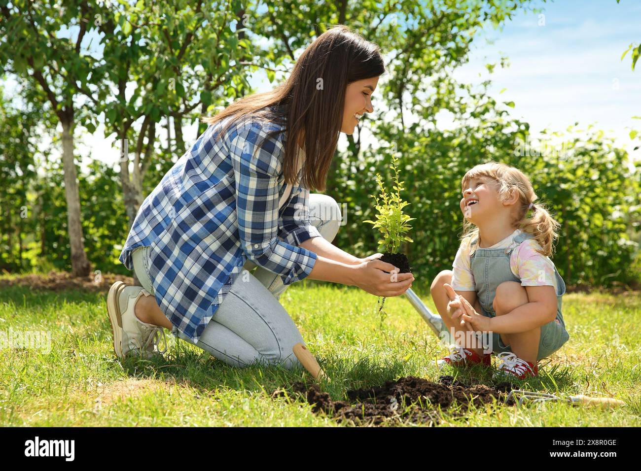 Mother and her daughter planting tree together in garden Stock Photo ...