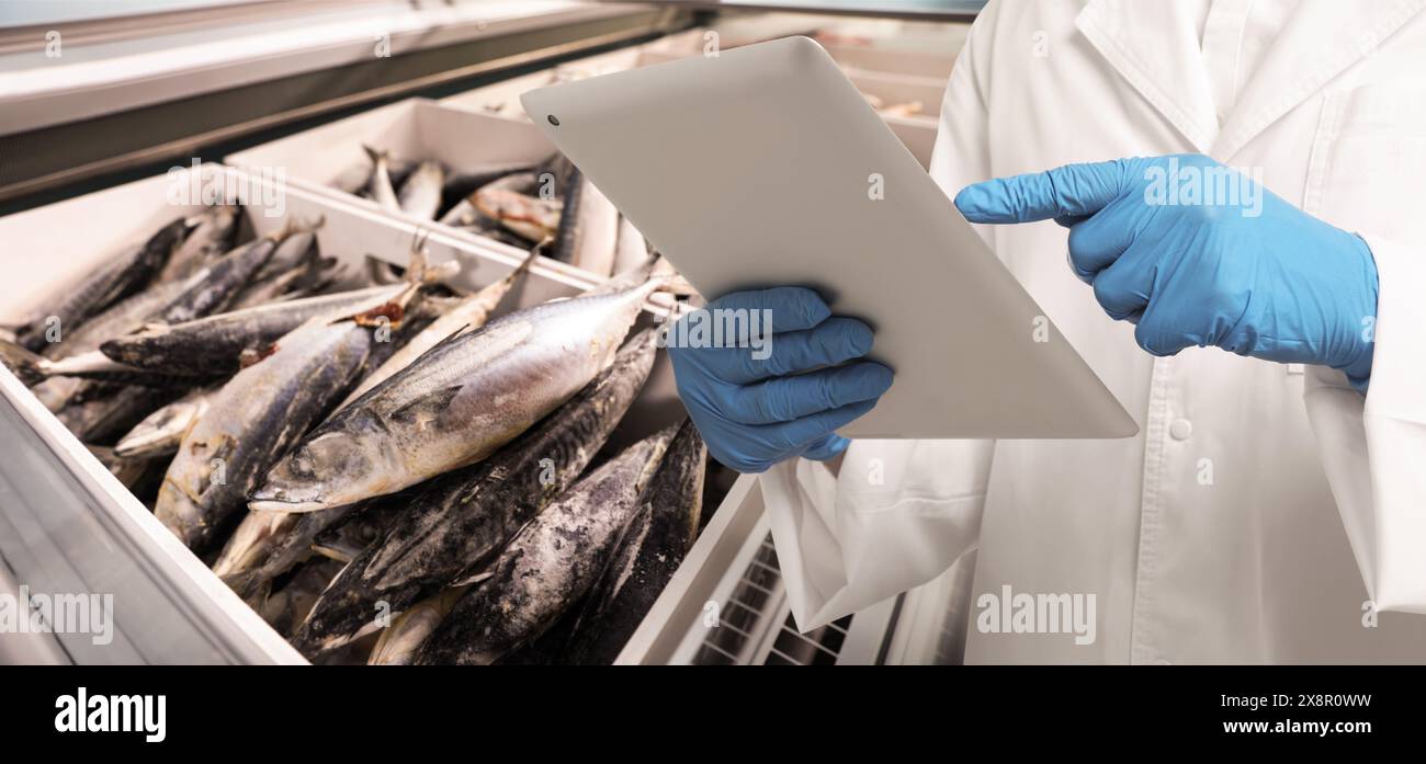 Food quality control specialist examining fish in supermarket, closeup ...