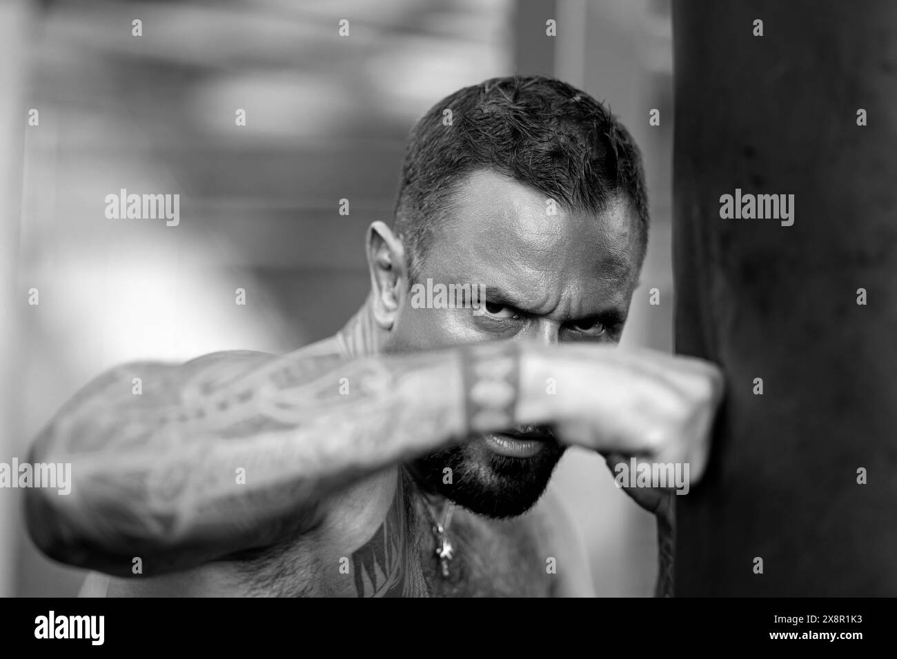 Strong boxer hitting punching Black and White Stock Photos & Images - Alamy