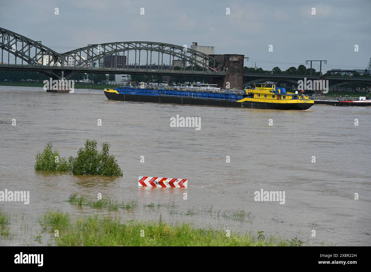 Cologne, Germany. 20th May, 2024. Flood in Cologne. South bridge and ...