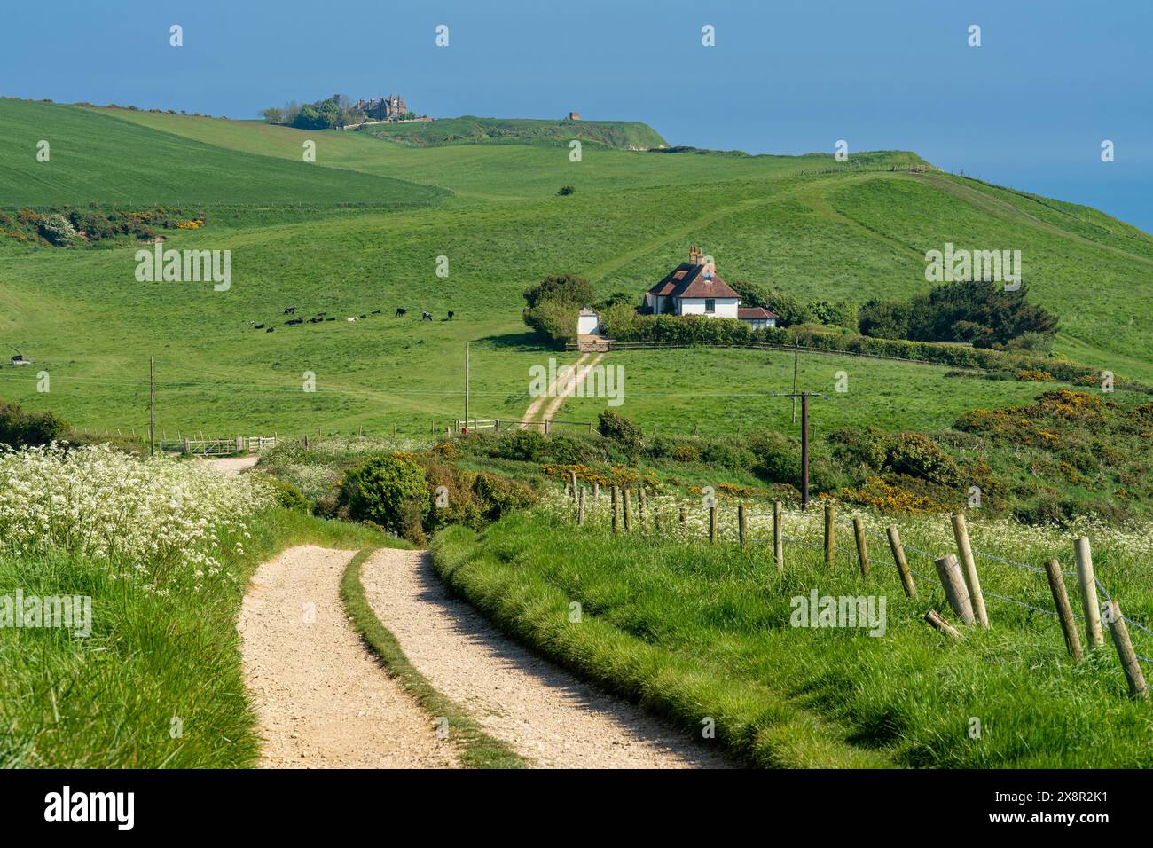 Footpath along the clifftops at Ringstead Bay, Dorset, England Stock ...