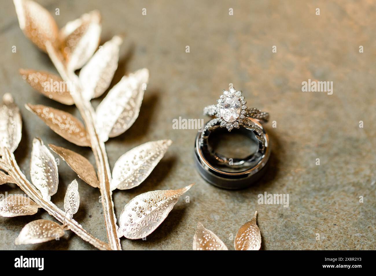 Rings of leaves background hi-res stock photography and images - Alamy