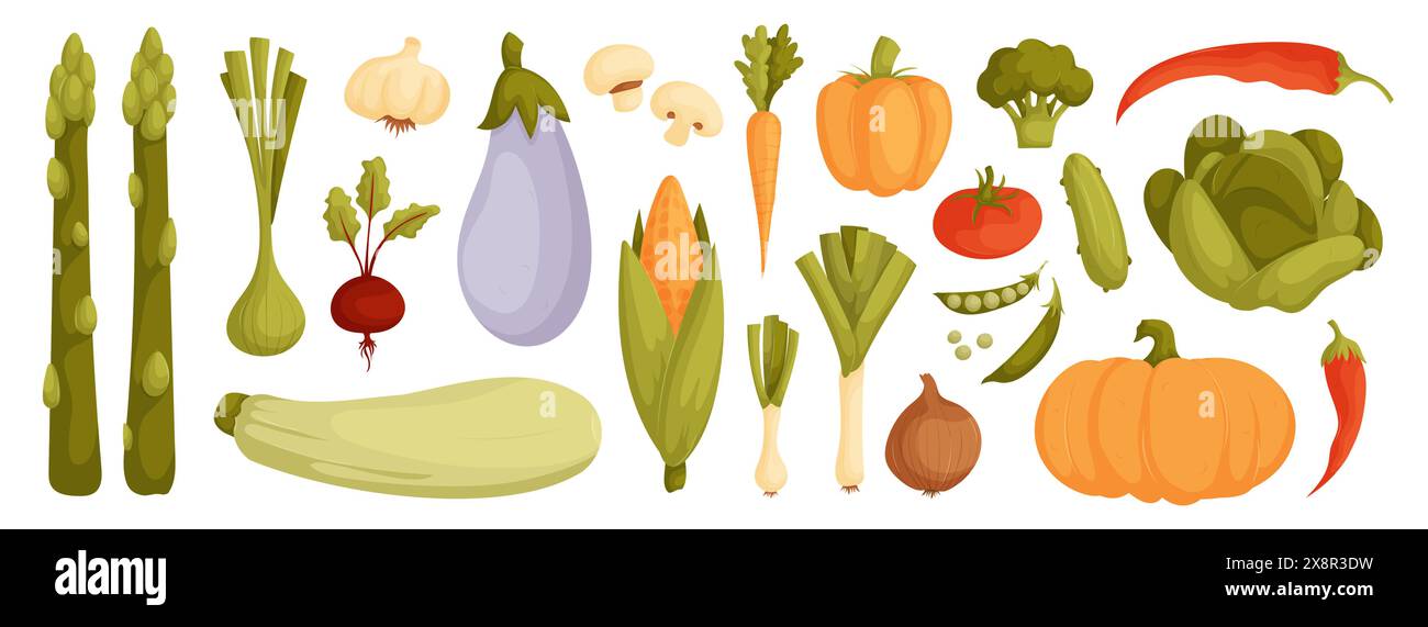 Cartoon Vegetables Collection. Colorful and Detailed Illustrations of ...