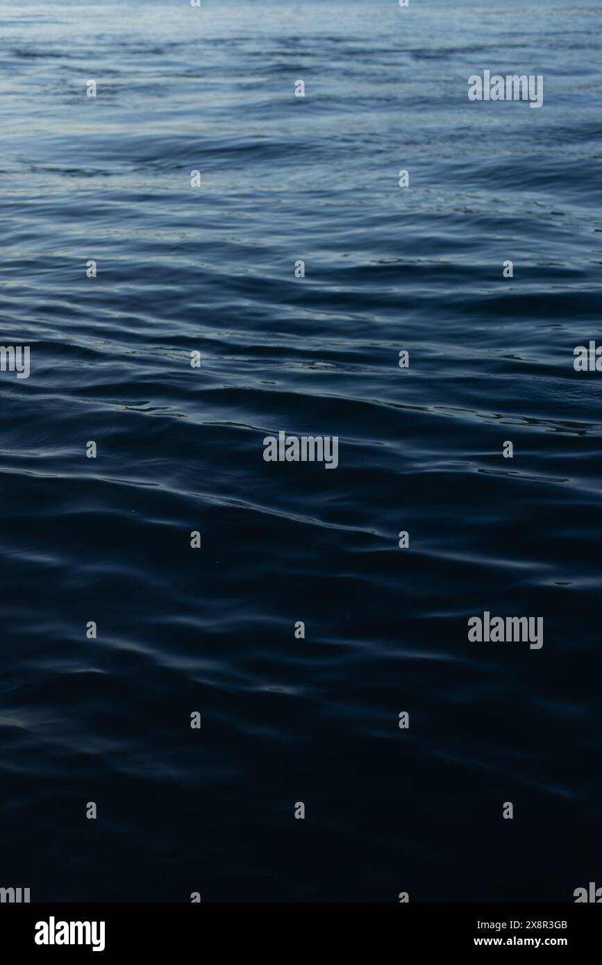 Dark blue ocean waves in the evening light Stock Photo - Alamy