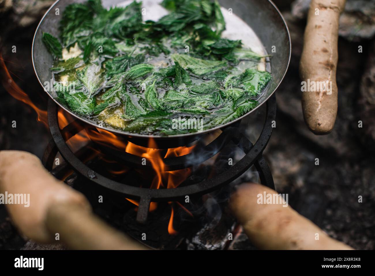 Cast iron pan over campfire fries nettle leaves with stock bread Stock ...