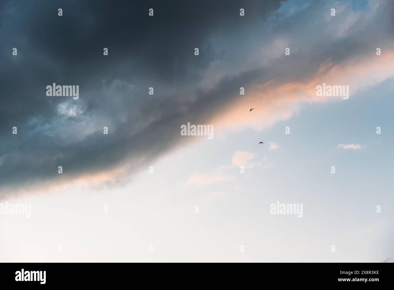 Dramatic sky with dark clouds and two birds in flight Stock Photo - Alamy