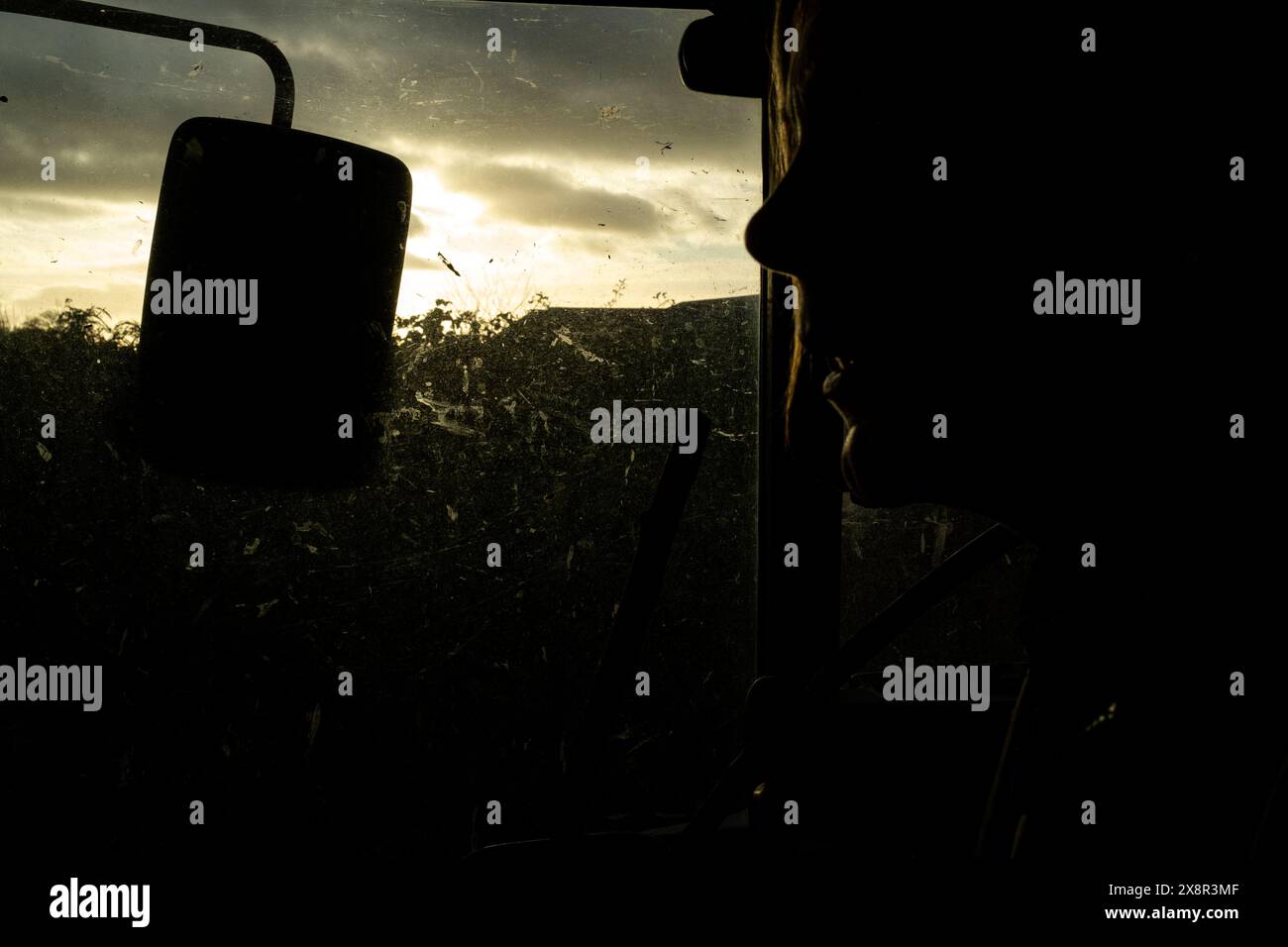 Silhouette of Adeline driving a tractor at sunrise at the Gaec du Bois ...