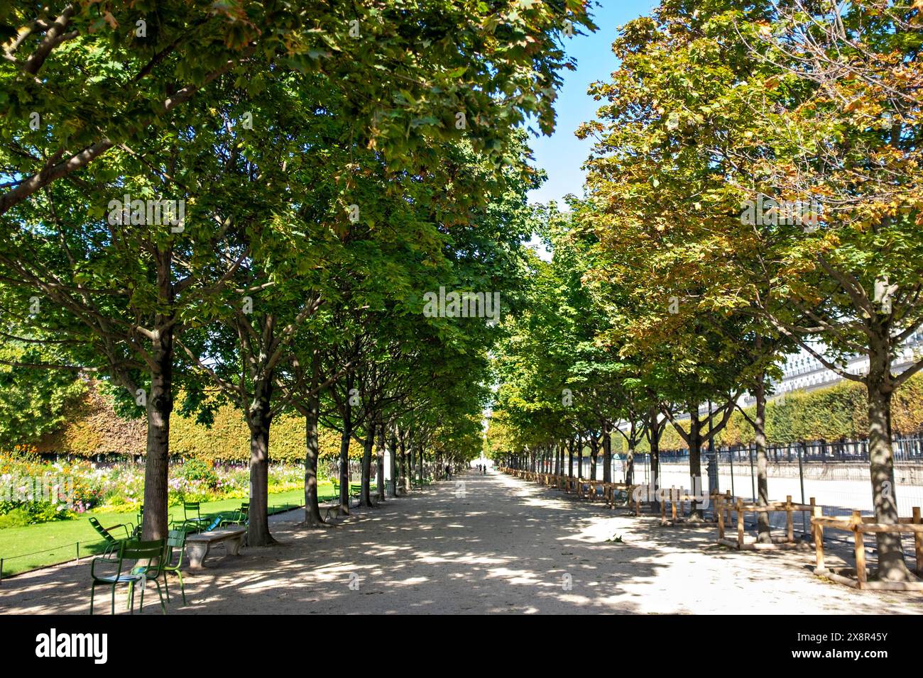 Tranquil tree-lined pathway in a Paris garden with sunlight Stock Photo ...