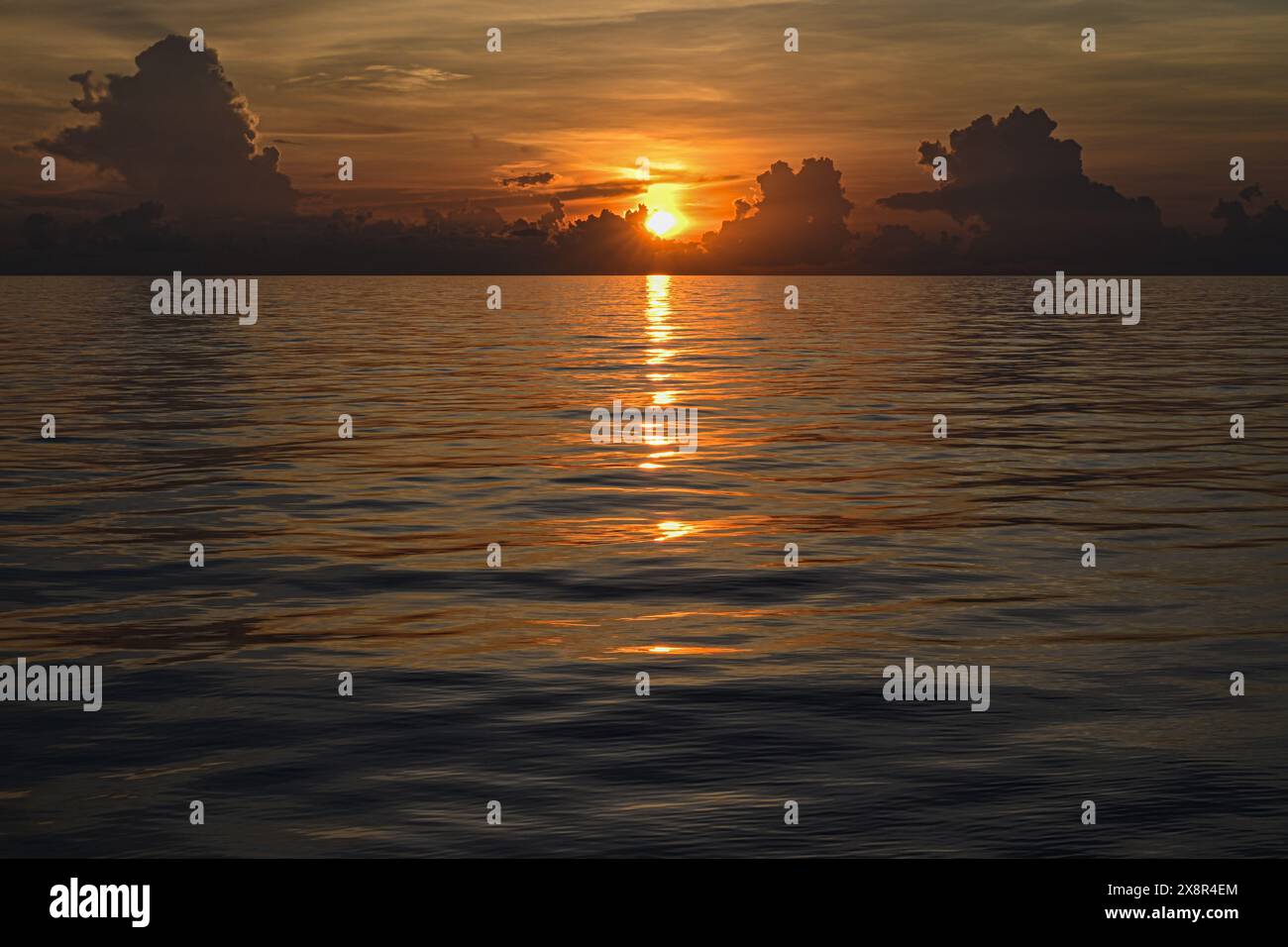 Haikou. 24th Apr, 2024. This photo taken on April 24, 2024 shows a ...
