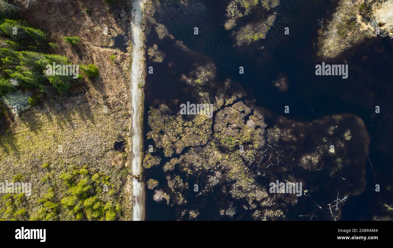 Aerial View of Pristine Marshland and Forest Pathways in Ontario Stock ...