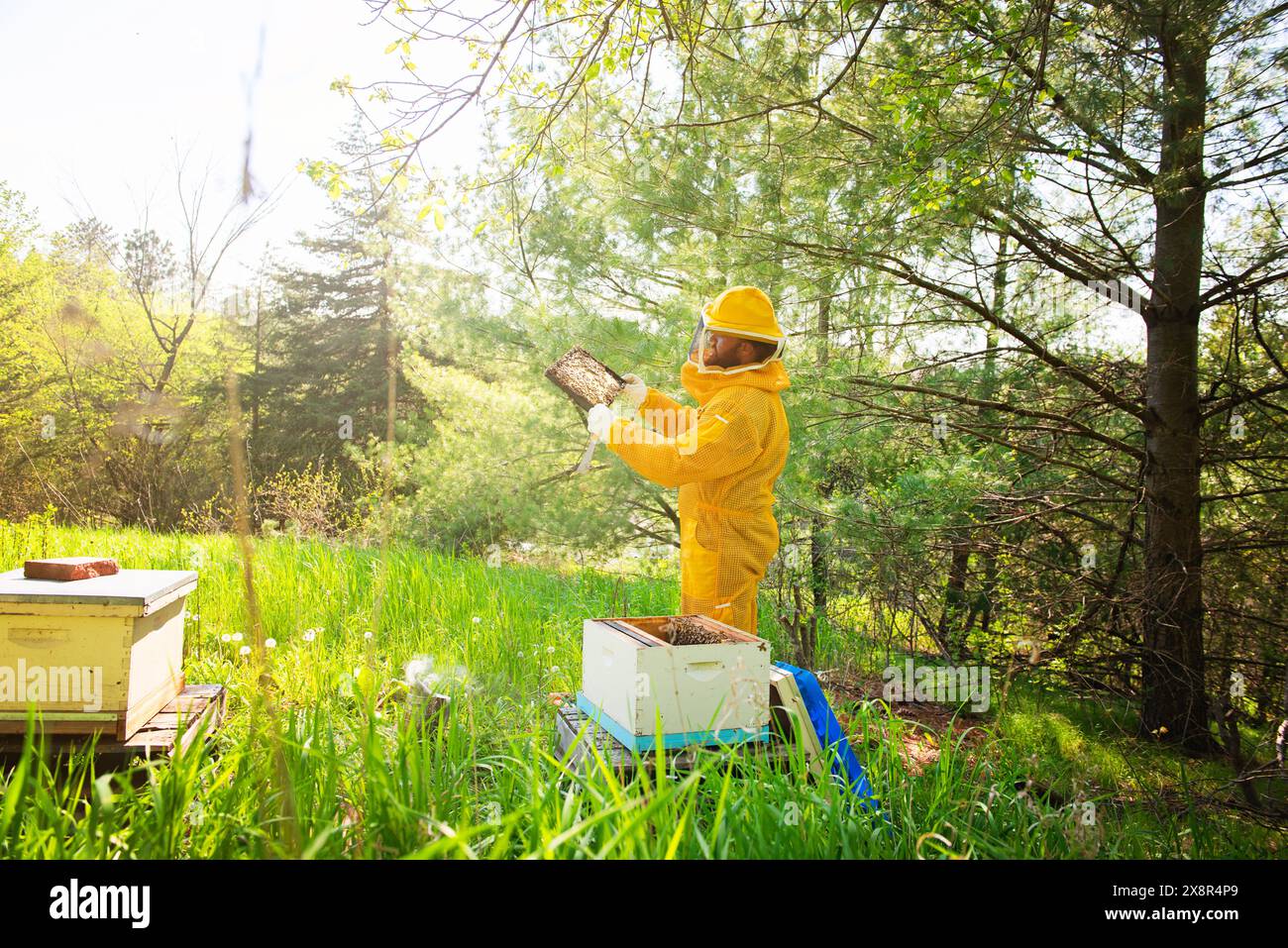 Male beekeeper in white hi-res stock photography and images - Alamy