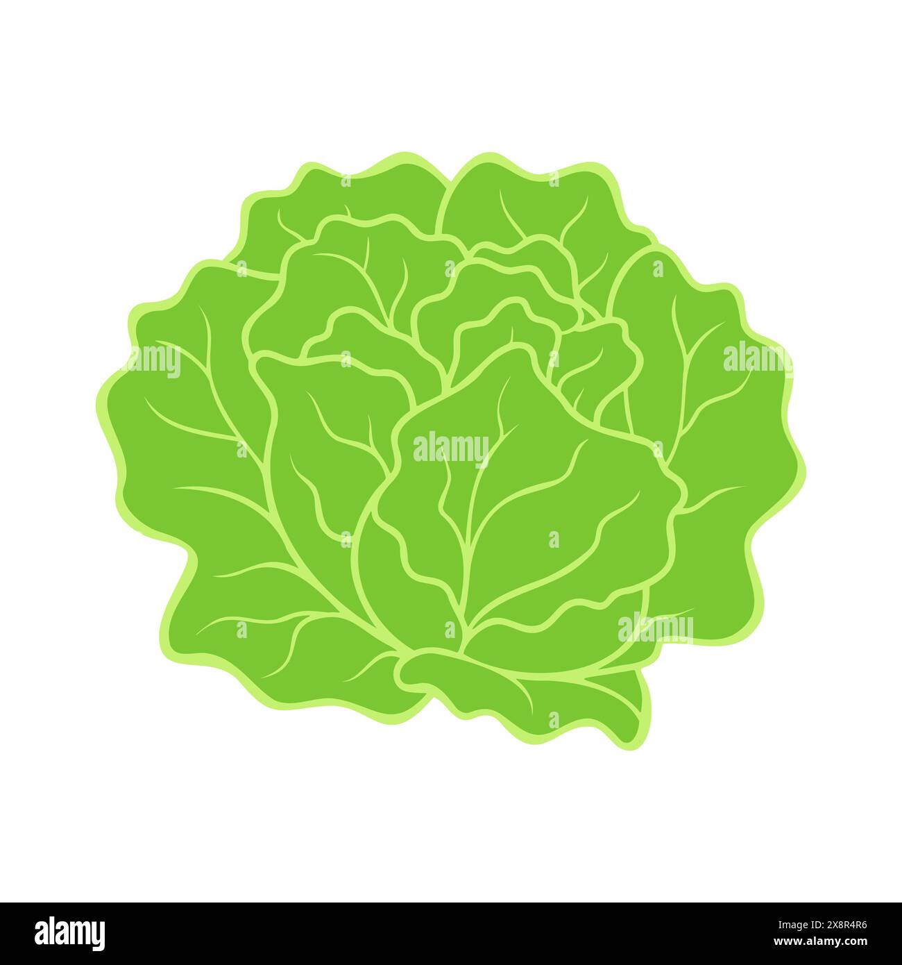 Crisphead vector vectors Stock Vector Images - Alamy