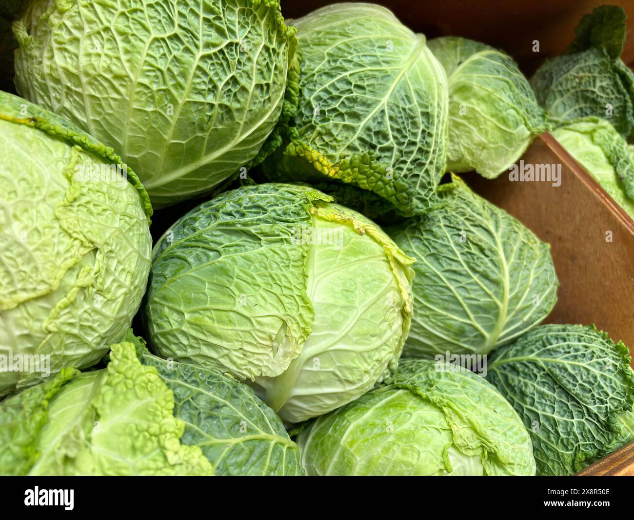 Green leafy vegetables in market hi-res stock photography and images ...