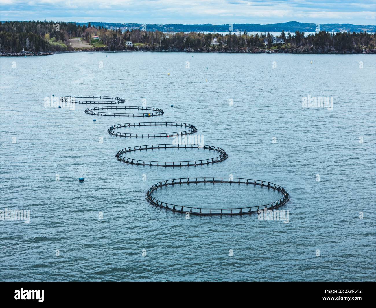 Salmon pens on an industrial fish farm in the Canadian Maritimes Stock ...