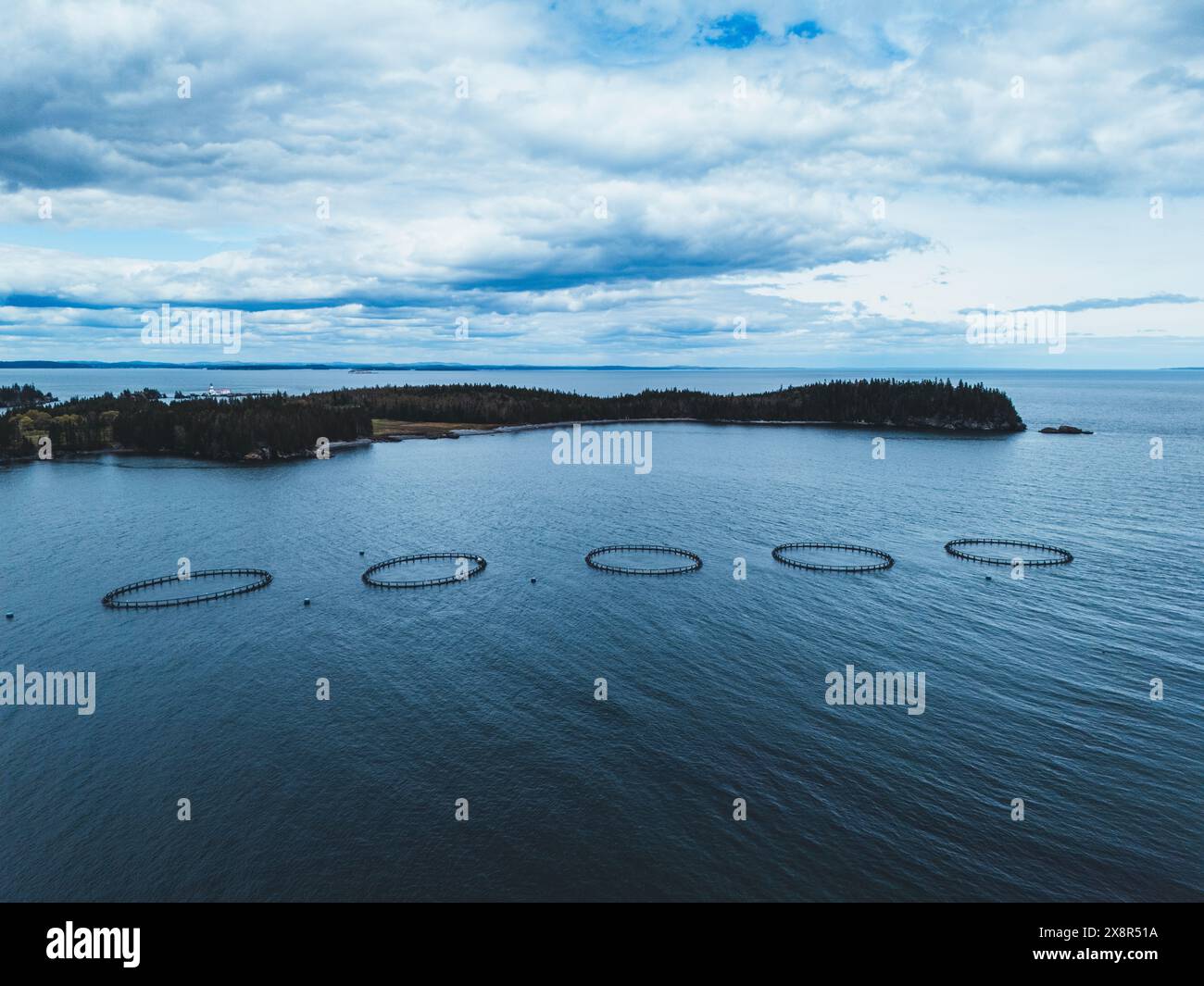 Industrial Salmon Farm pens off Campobello Island, Canada Stock Photo ...