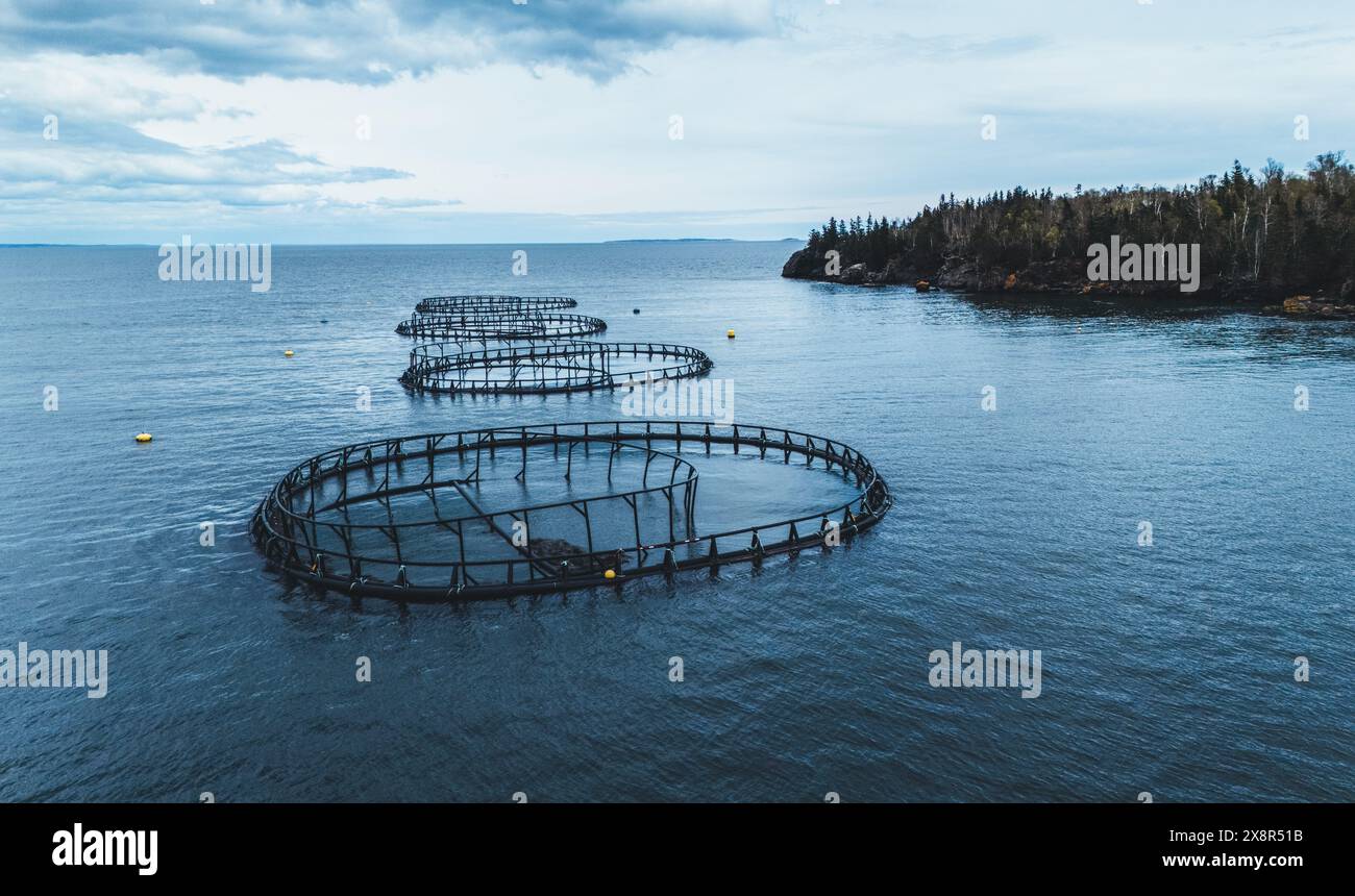 Nets and cages of an Atlantic Salmon fish farm, New Brunswick, Canada ...