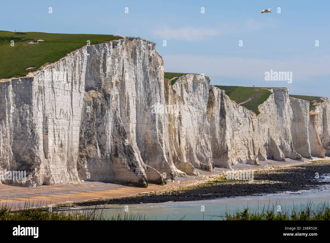 The Seven Sisters chalk cliffs in East Sussex, forming part of the ...