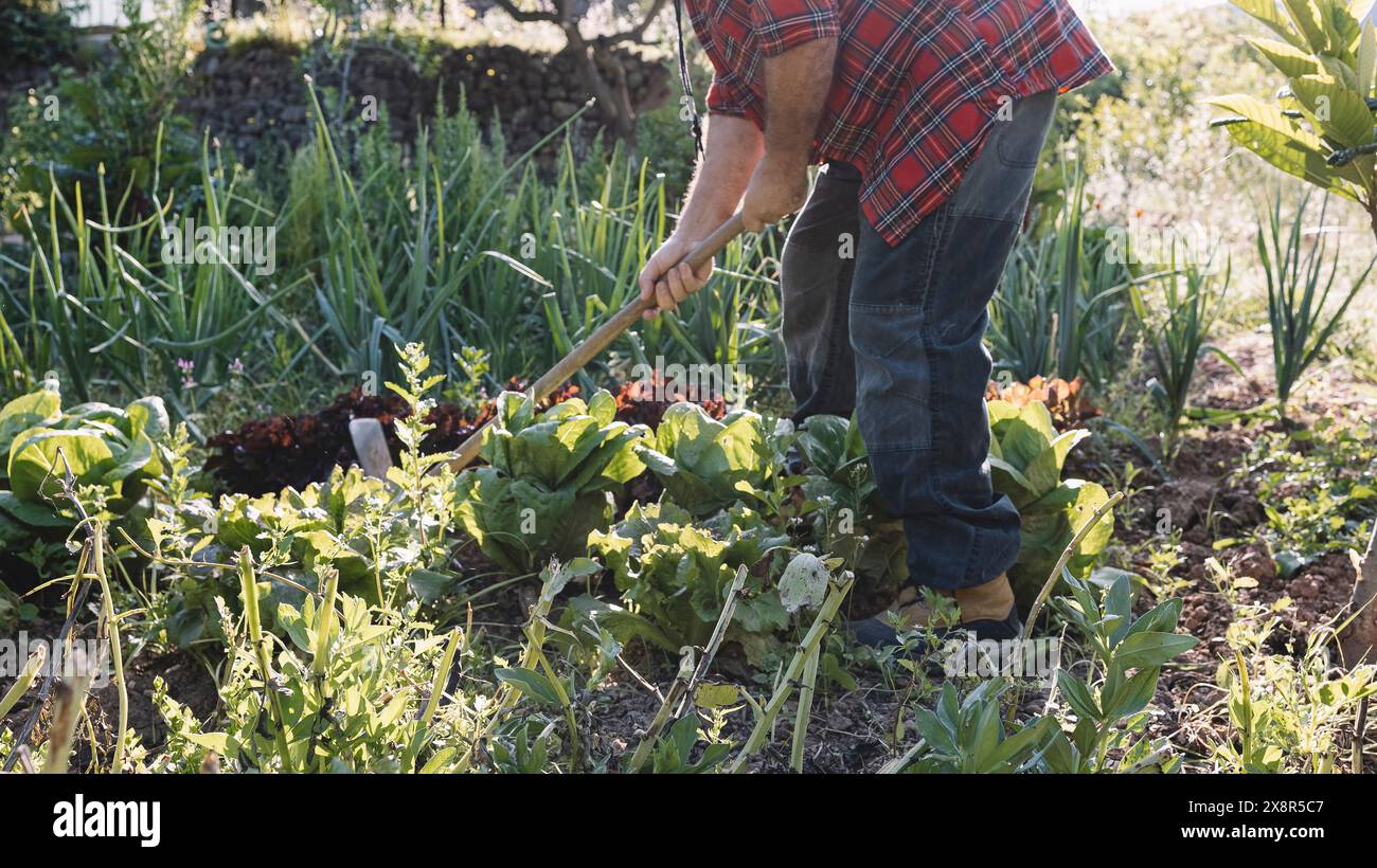 Close up farmer cultivating hi-res stock photography and images - Alamy