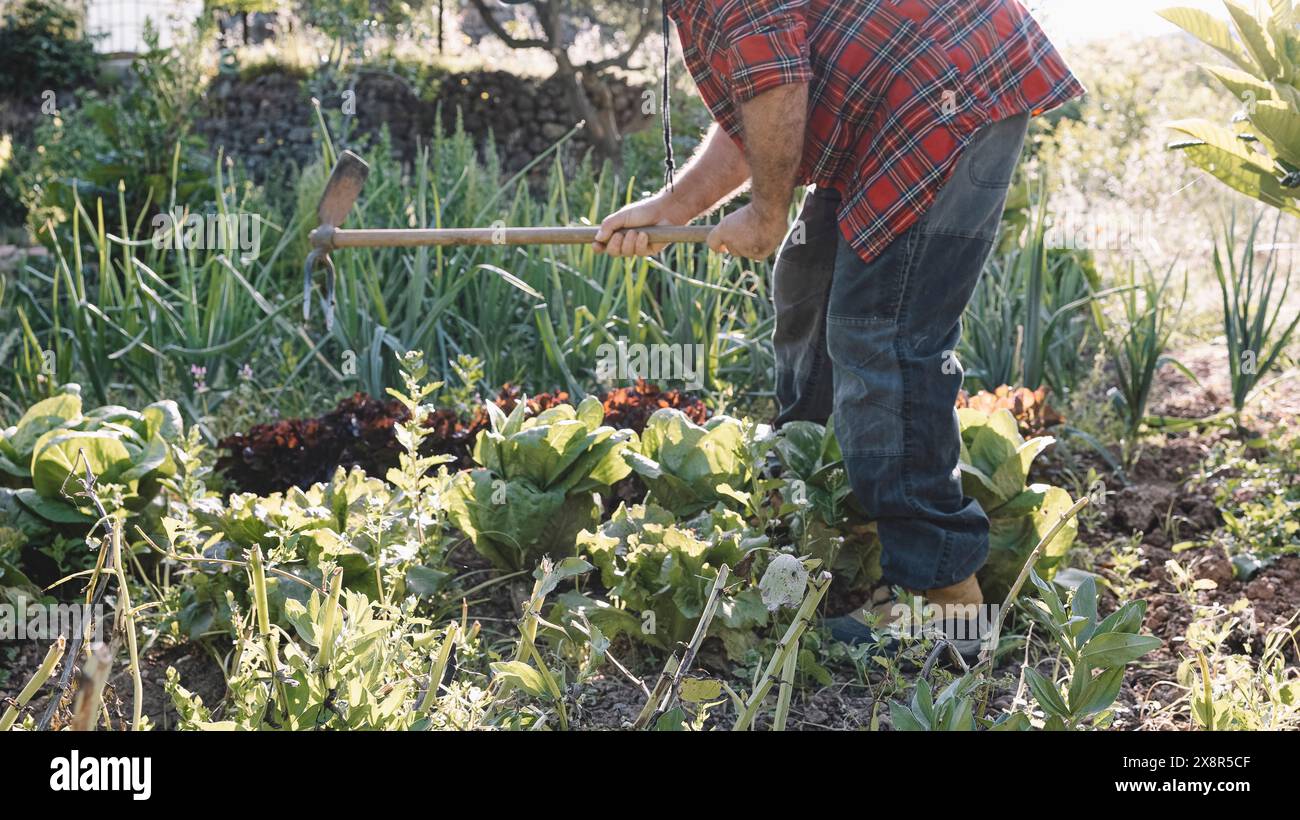Close up farmer cultivating hi-res stock photography and images - Alamy