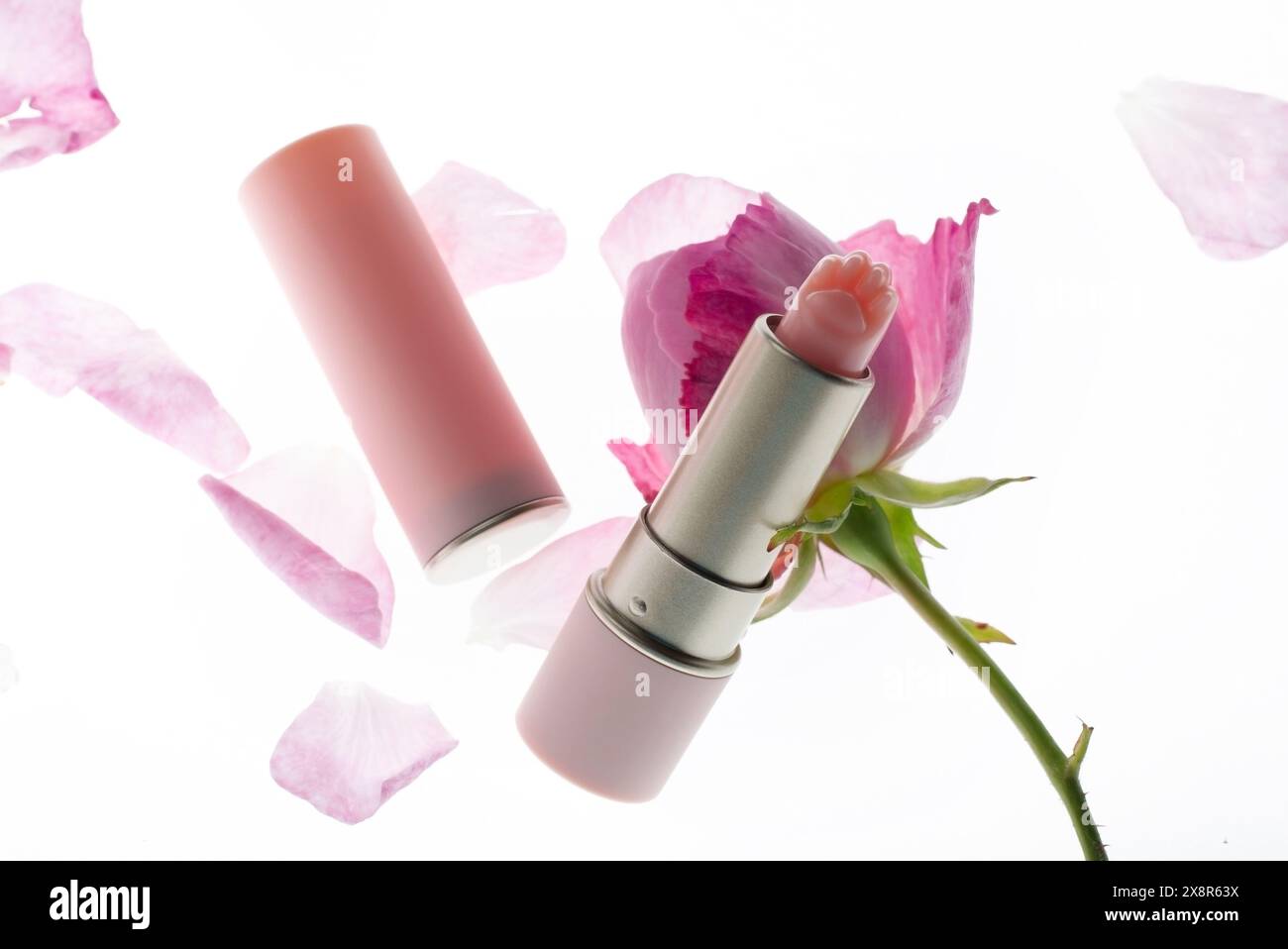 Top view roses petals hi-res stock photography and images - Alamy