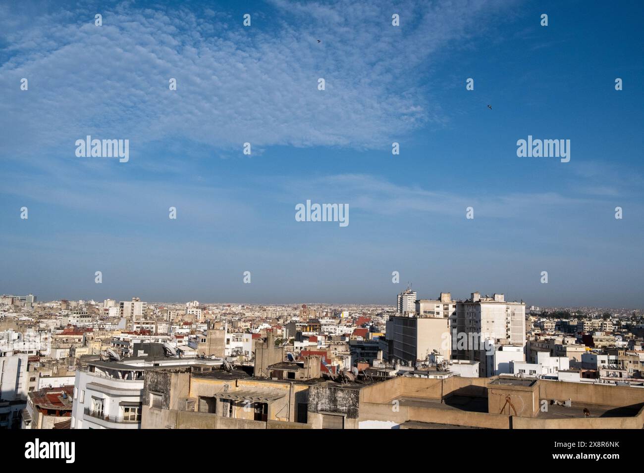 Aerial view of the dense urban landscape and high-rise buildings in ...