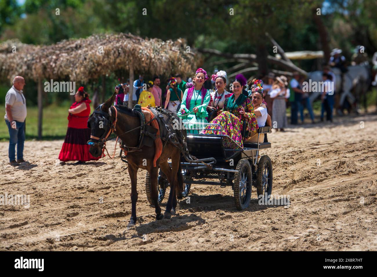 Group of pilgrims making the final part of the pilgrimage of El Rocio ...