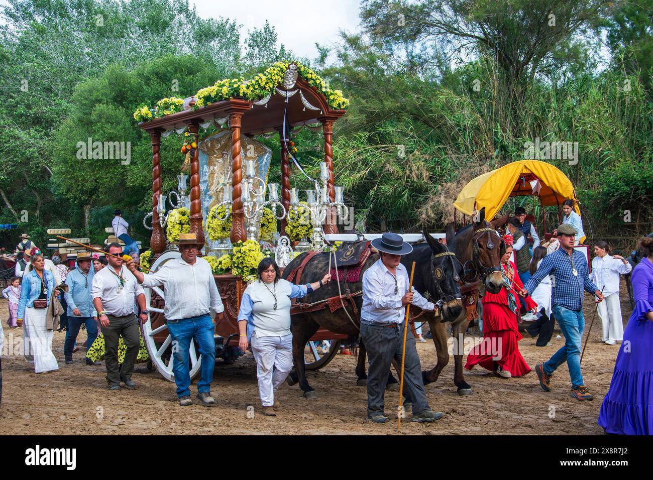 Group of pilgrims making the final part of the pilgrimage of El Rocio ...