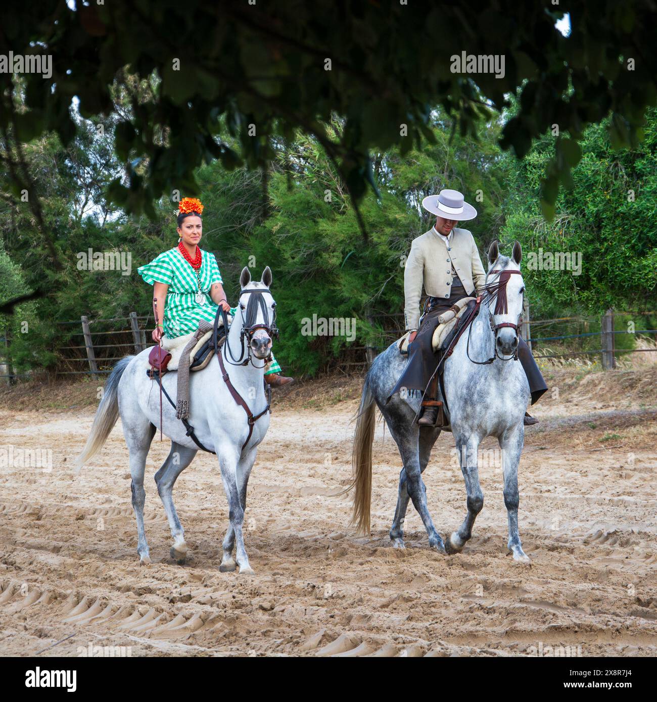 Group of pilgrims making the final part of the pilgrimage of El Rocio ...