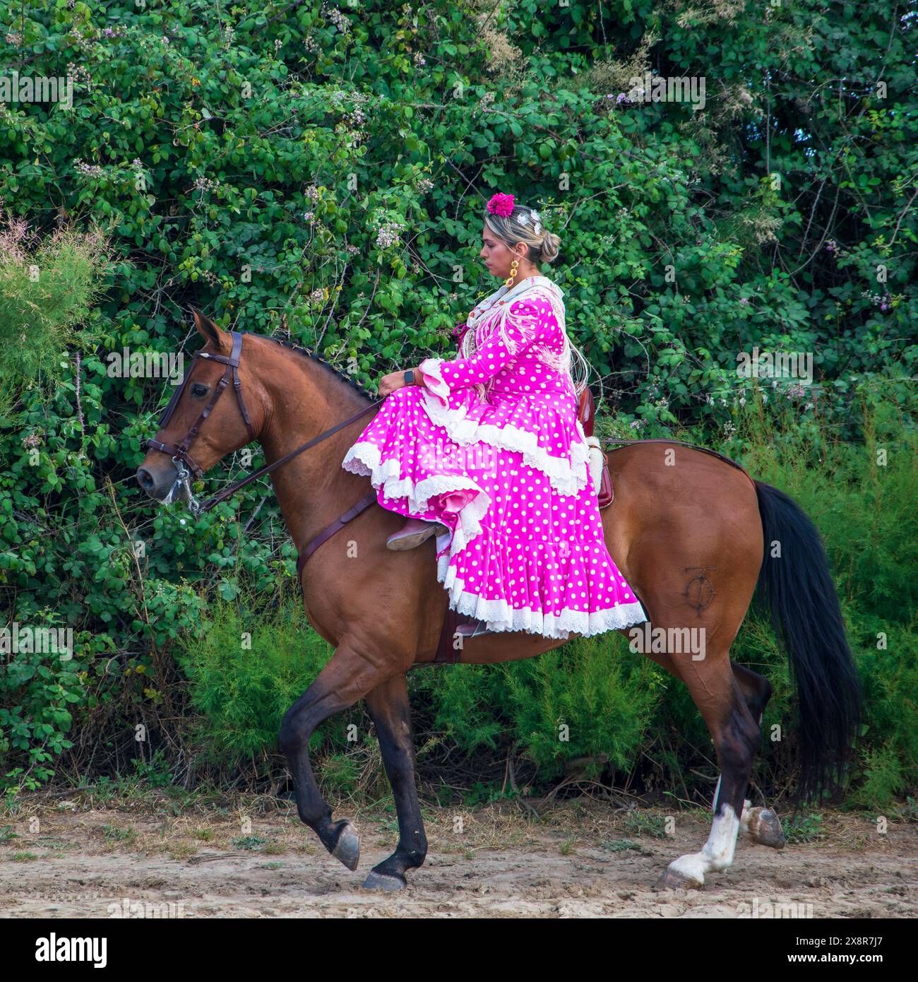 05/16/2024. Almonte, Huelva, Spain. Group of pilgrims on horseback ...