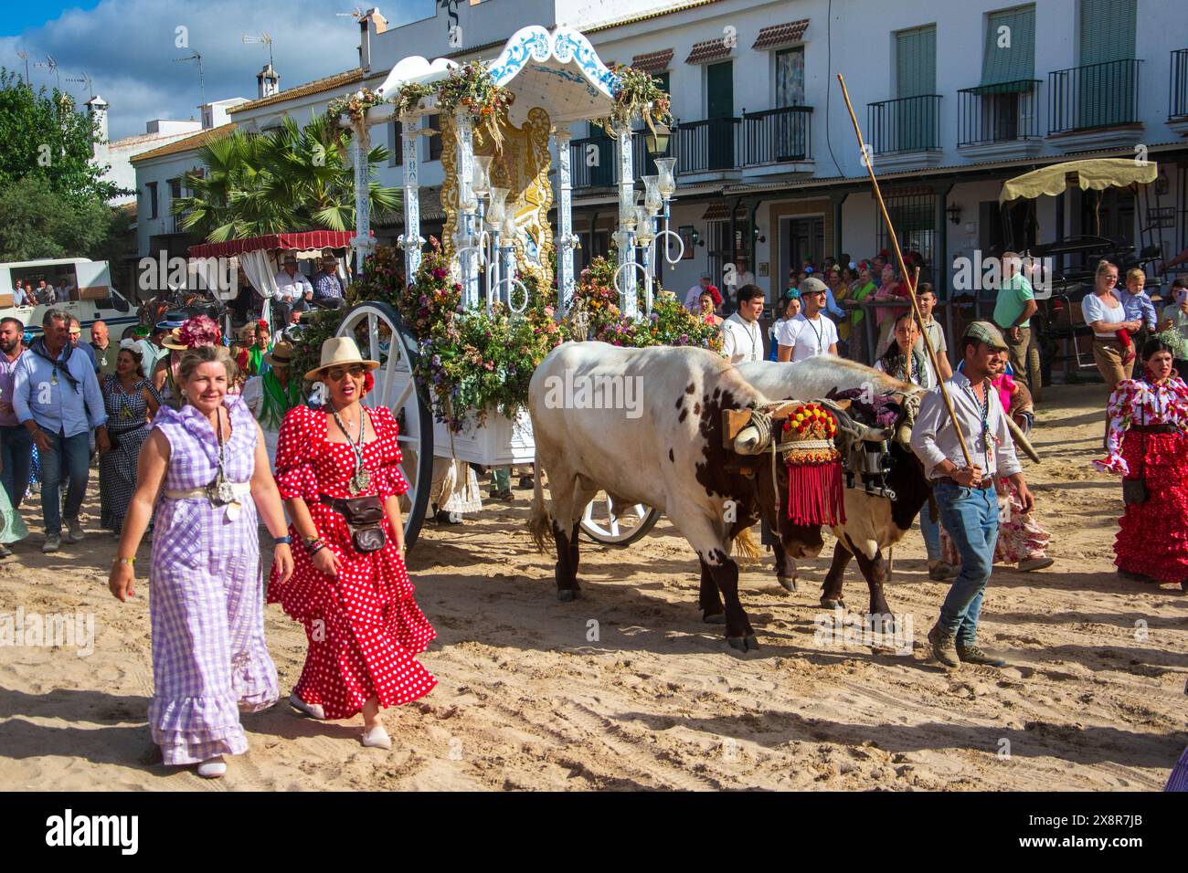 Group of pilgrims making the final part of the pilgrimage of El Rocio ...