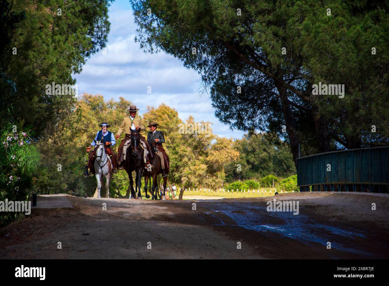 Group of pilgrims making the final part of the pilgrimage of El Rocio ...