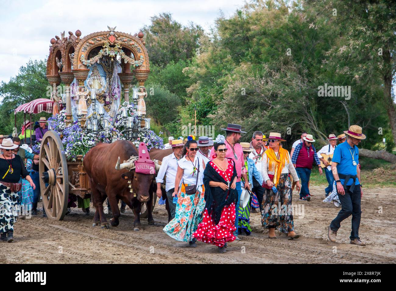 Group of pilgrims making the final part of the pilgrimage of El Rocio ...