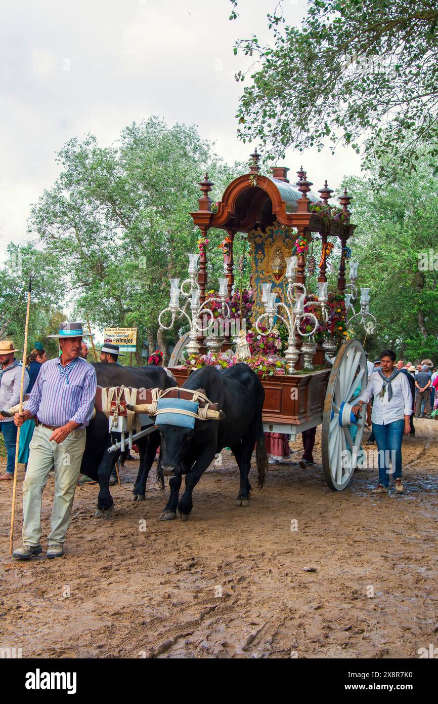 Group of pilgrims making the final part of the pilgrimage of El Rocio ...