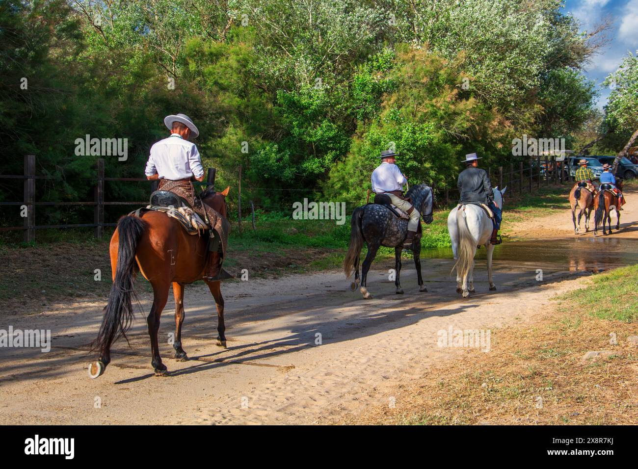 Group of pilgrims making the final part of the pilgrimage of El Rocio ...