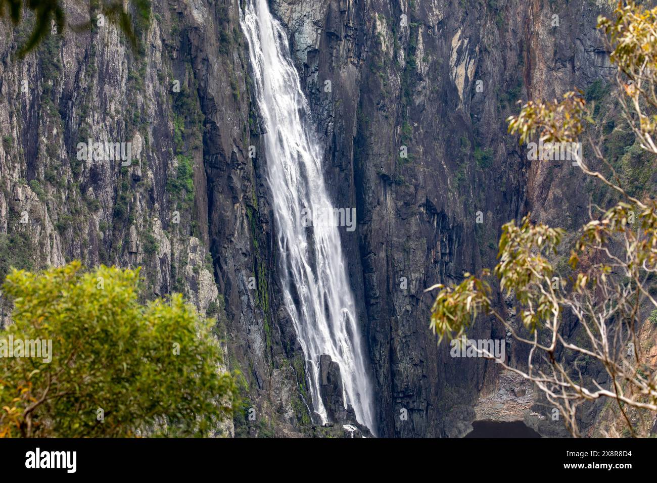 Wollemombi waterfall falls in Oxley Rivers national park, Australia's ...