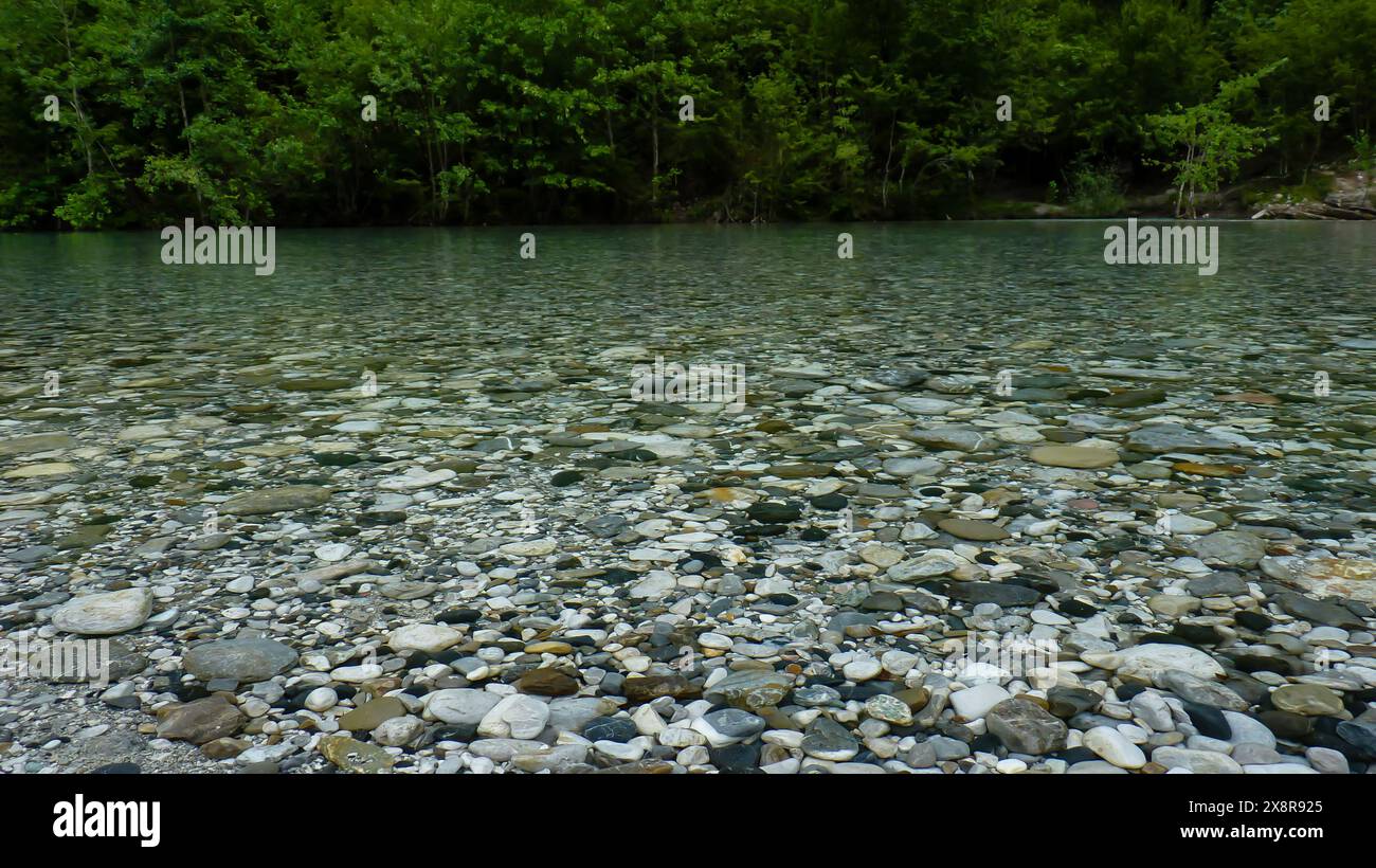 stones under water riverside Stock Photo - Alamy
