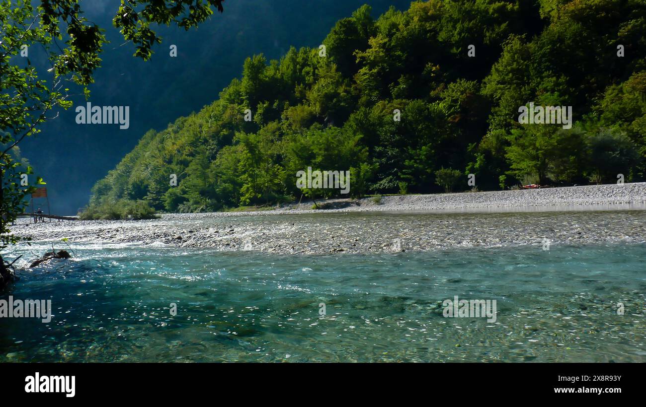 tree leaves river side view Stock Photo - Alamy