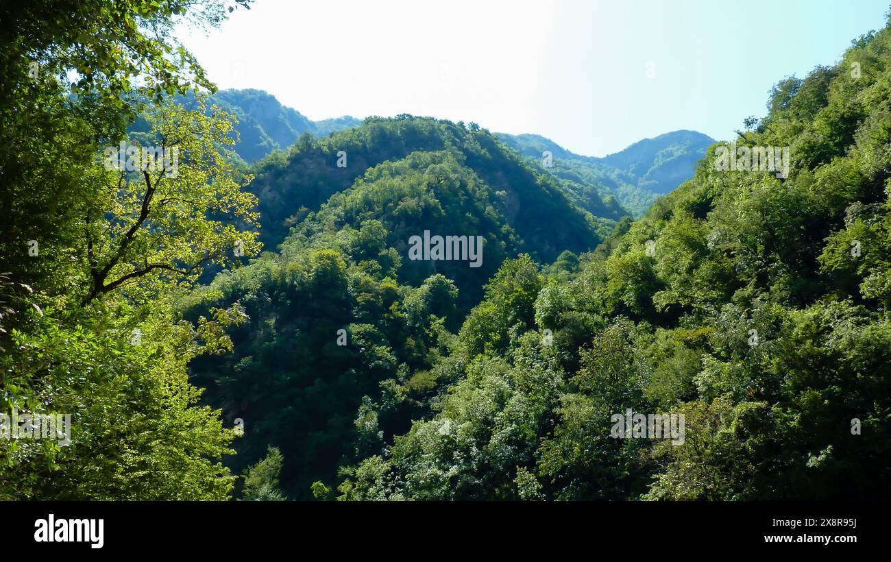 mountains trees albanian alps Stock Photo - Alamy