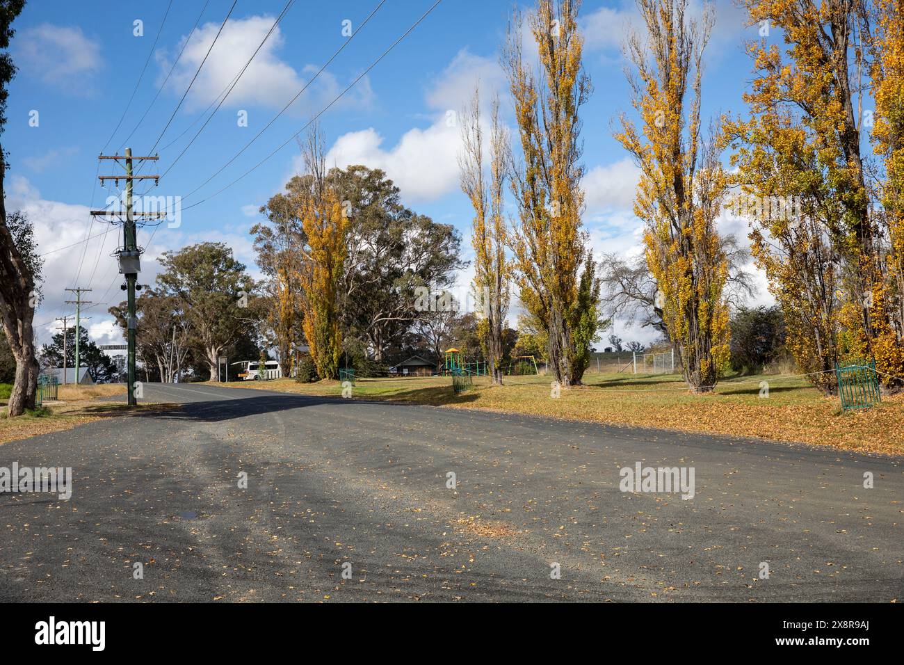 Wollomombi village with autumn colour on the trees, New England region ...