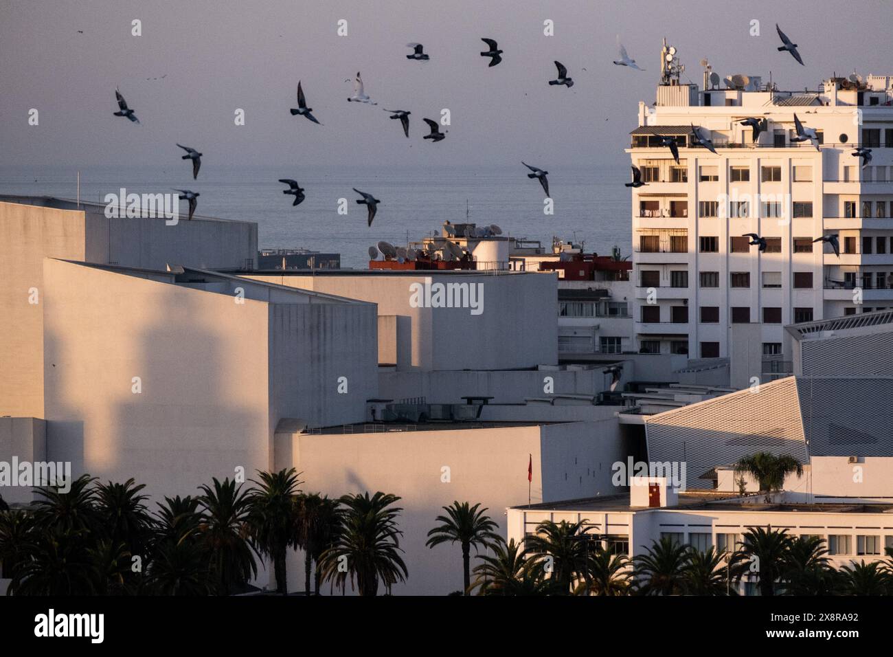Urban landscape with the opera in Casablanca, Morocco on October 7 ...