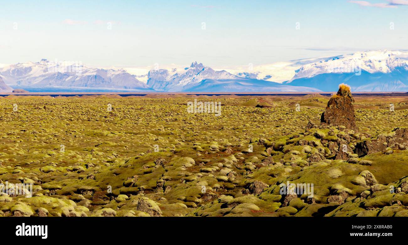 Tundra landscape with moss and mountains hi-res stock photography and ...