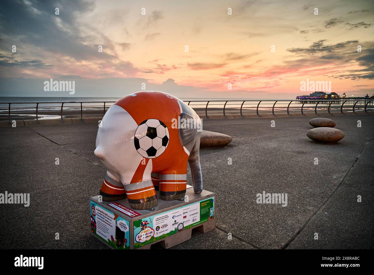 Elmer elephant hi-res stock photography and images - Alamy