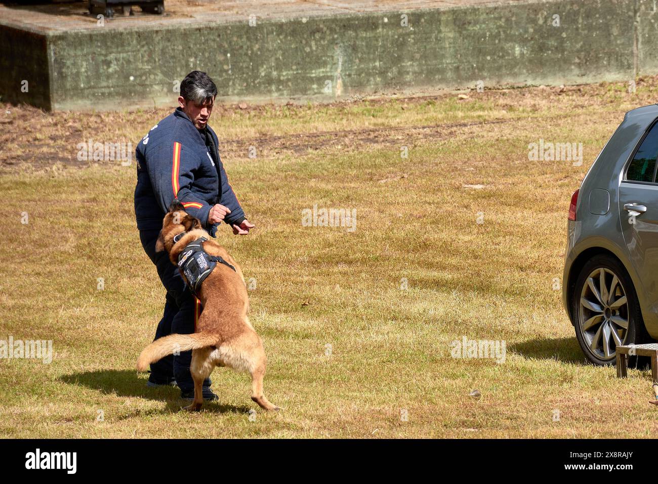 Vigo, Pontevedra, Spain; May,26,2024; Parade of dogs belonging to the ...