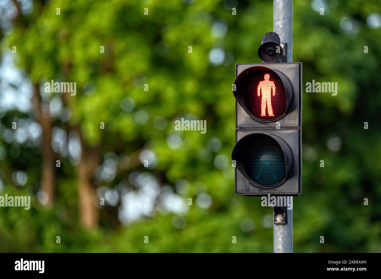 Red pedestrian light signals stop with green trees in the background ...