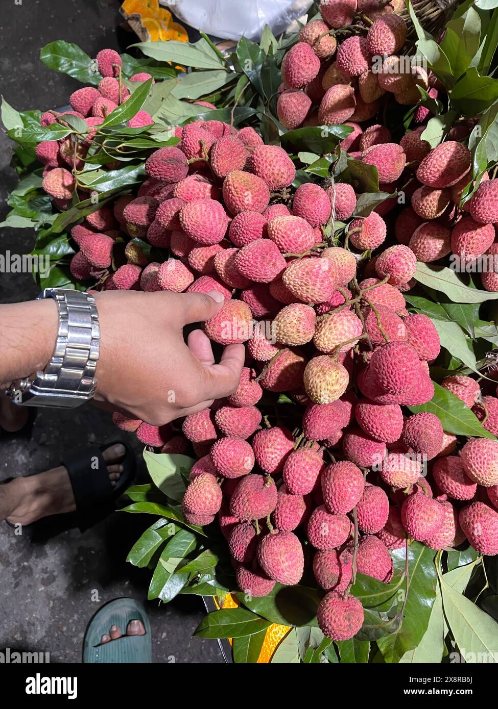 Lychee bangladesh hi-res stock photography and images - Alamy