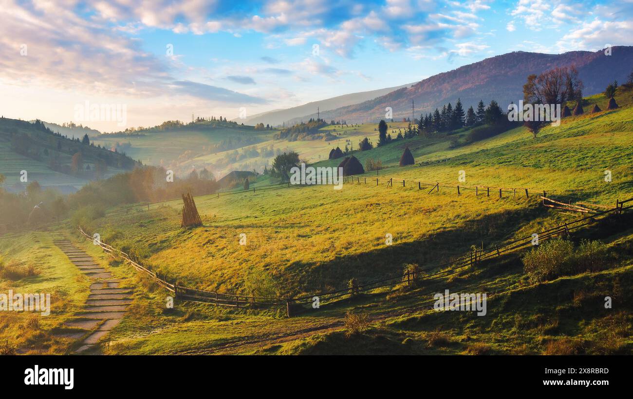rural landscape in carpathian mountains of ukraine. alpine countryside scenery with grassy ...