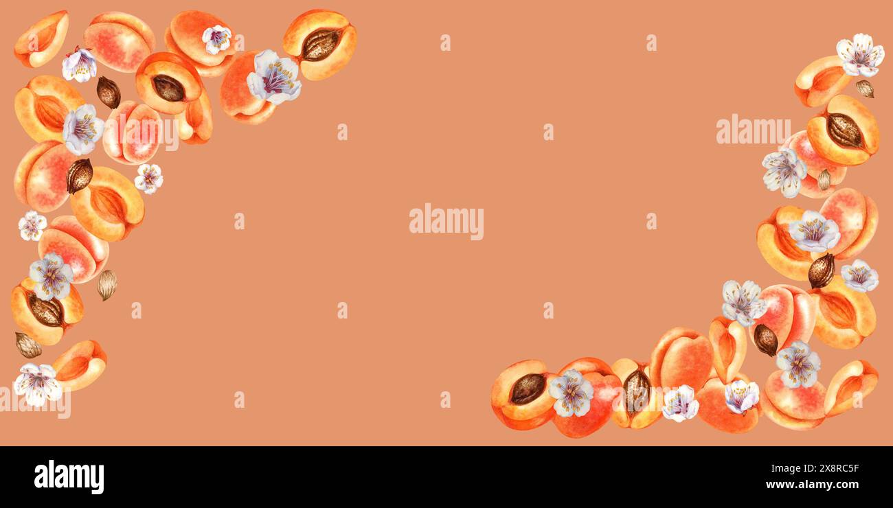 Horizontal border and banner of ripe orange-pink apricots with green ...