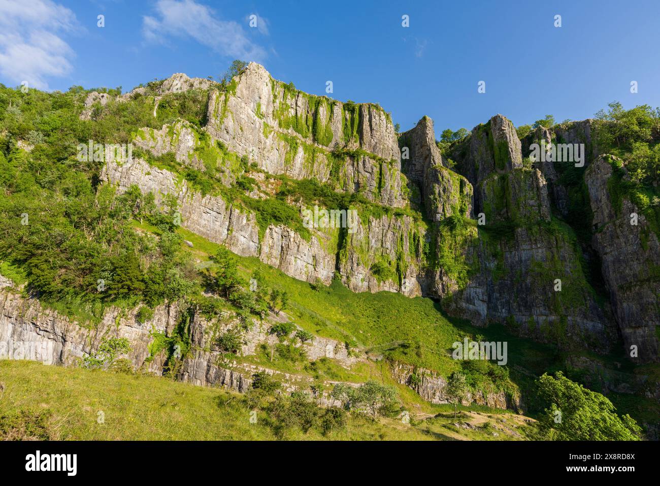 The limestone cliffs of Cheddar Gorge in the Mendip Hills National ...