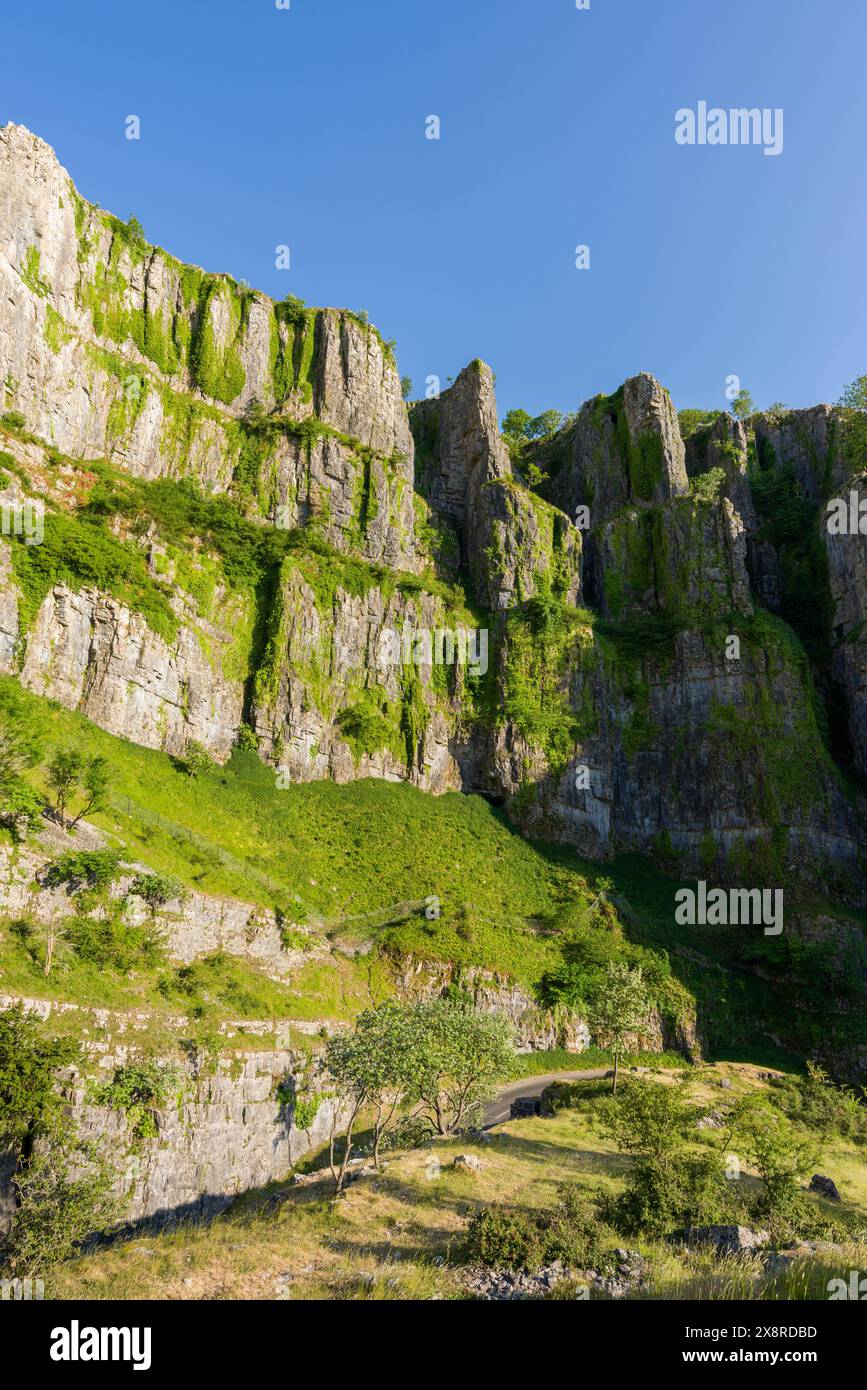 The limestone cliffs of Cheddar Gorge in the Mendip Hills National ...