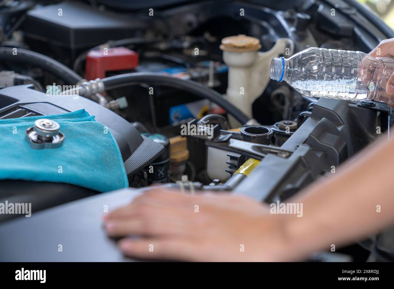 Hands filling water into the car's radiator Stock Photo - Alamy